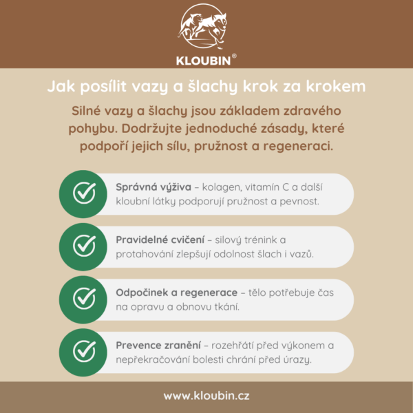 Jak zlepšit zdraví vazů a šlach: Návod krok za krokem